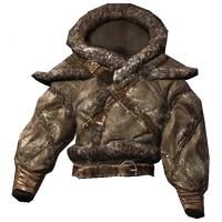 Skaal Coat - Skyrim Wiki