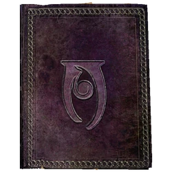 Category:Conjuration books - Skyrim Wiki