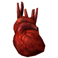 Daedra Heart - Skyrim Wiki