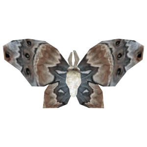 Ancestor Moth - Skyrim Wiki