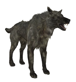 Wolf - Skyrim Wiki