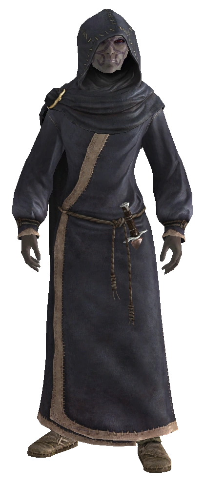 Dravynea the Stoneweaver - Skyrim Wiki