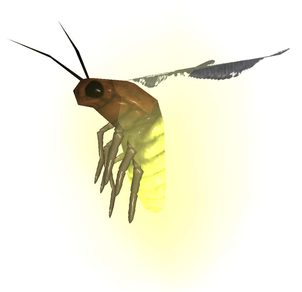 Torchbug - Skyrim Wiki