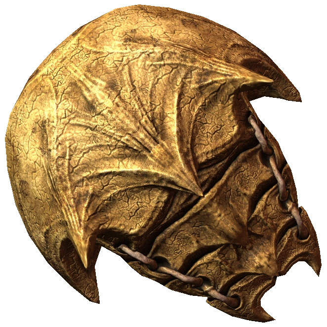 Bonemold Shield - Skyrim Wiki
