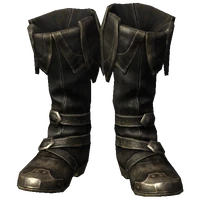Vampire Boots - Skyrim Wiki