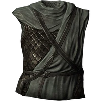 Winterhold Guard's Armor - Skyrim Wiki