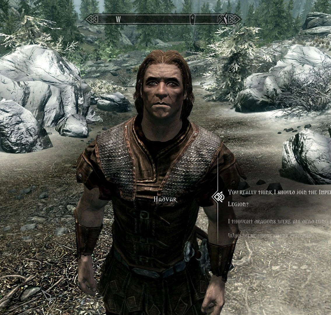 Hadvar | Skyrim Civil War Walkthrough Wiki | Fandom