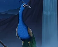 Khan | SkyTalons Wiki | Fandom