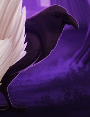 Shadow | SkyTalons Wiki | Fandom