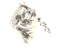 Zaqqum | Trails Wiki | Fandom