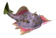 Cave Ray | Trails Wiki | Fandom