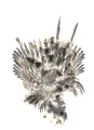 Alraune | Trails Wiki | Fandom