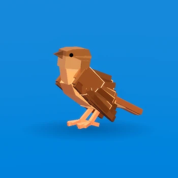 Sparrow | Skyven Wiki | Fandom