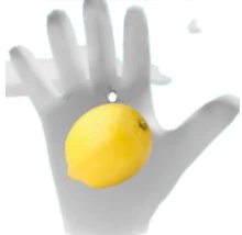 Lemon | Slap Battles Fanon Wiki | Fandom