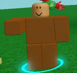 Turkey | Slap Battles Tower Defense Wiki | Fandom