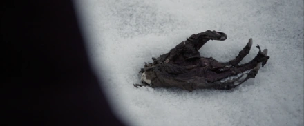 Saint Sebastian | Slasher Series Wikia | Fandom