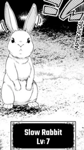 Slow Rabbit | Slave Harem in the Labyrinth of the Other World Wiki | Fandom