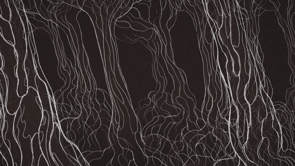 The Wild | Slay the Princess Wiki | Fandom