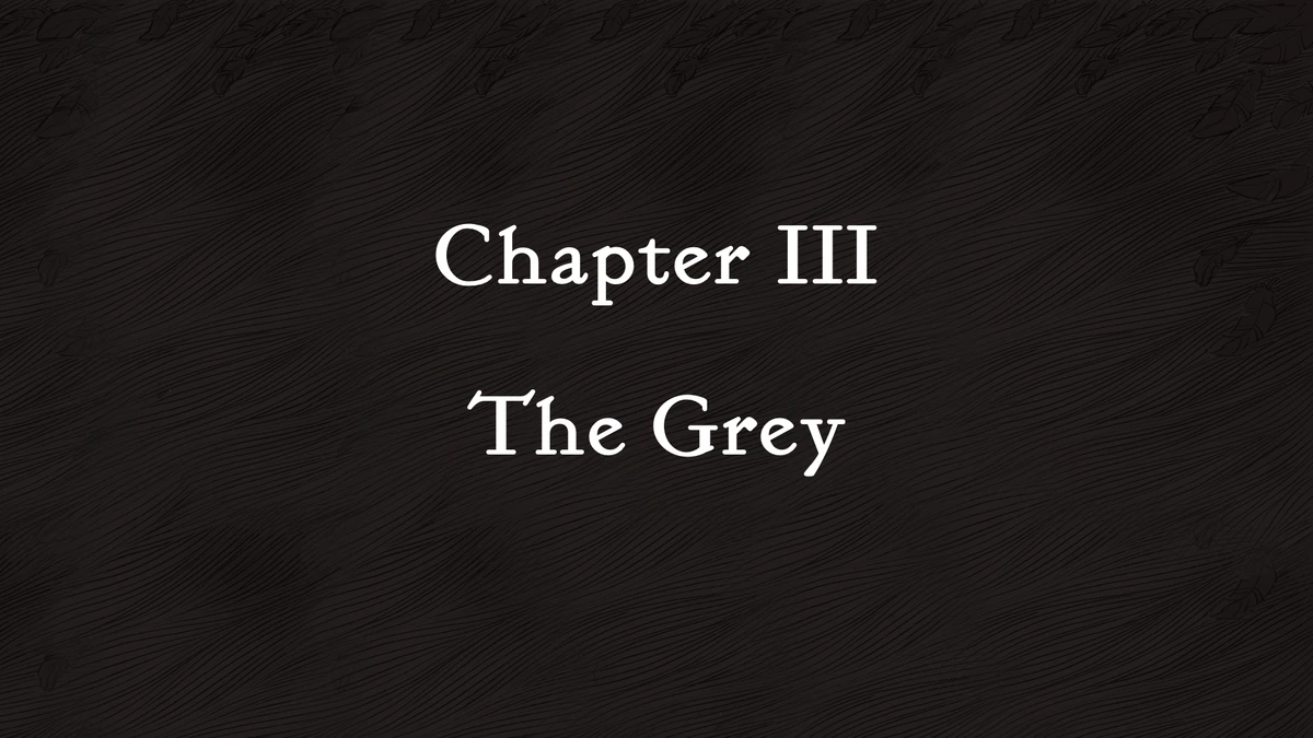 Chapter III: The Grey | Slay the Princess Wiki | Fandom