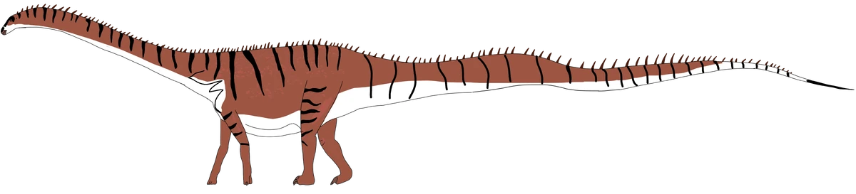 Diplodocus | SlayerseriesAU Wiki | Fandom