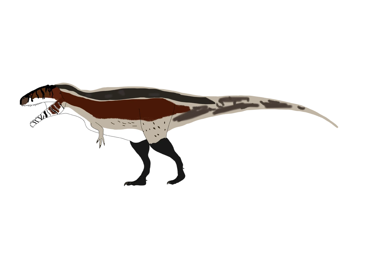 Carcharodontosaurus | SlayerseriesAU Wiki | Fandom