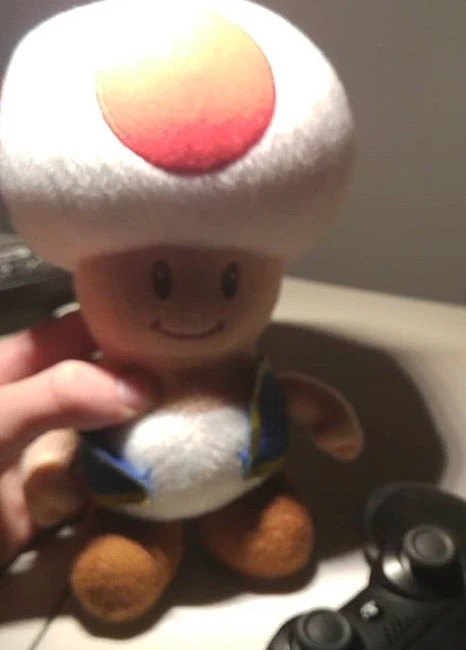 Toad | SLBBG Wiki | Fandom