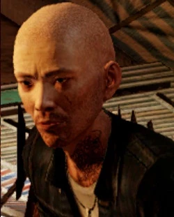 Ming | Sleeping Dogs Wiki | Fandom