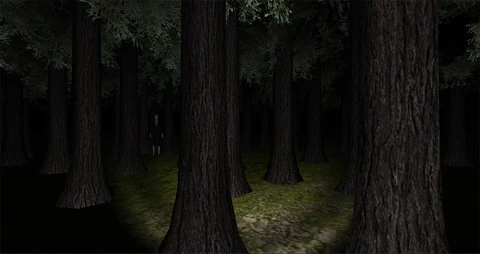 Slender Asylum | Slender Games Wiki | Fandom