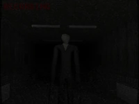 Slender: The Remake | Slender Games Wiki | Fandom