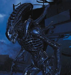 Xenomorph Soldier | Slender Fortress Wiki | Fandom