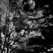 Pers0nalPr0ject | The Slenderverse Wiki | Fandom