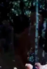 Morley Grove | The Slenderverse Wiki | Fandom