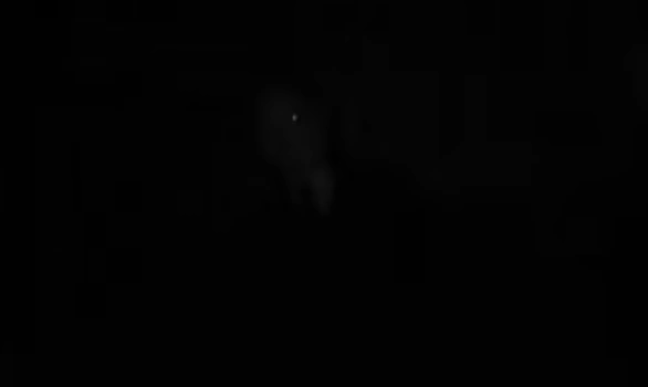 Category:Females | The Slenderverse Wiki | Fandom