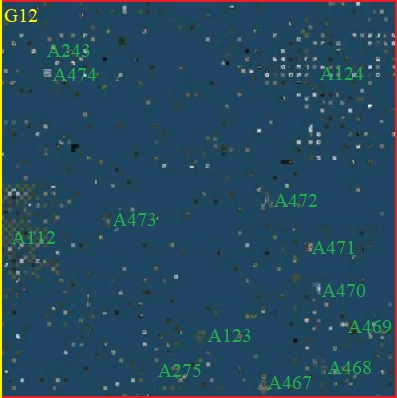 Grid Sector G12 | SLGI Wiki | Fandom