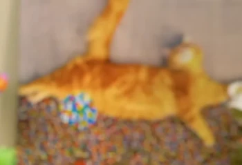 Fluffy | Slick Slime Sam Unofficial Series Wiki | Fandom