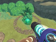 Palm Sprout | Slime Rancher Wiki | Fandom