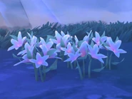 Starbloom Flowers | Slime Rancher Wiki | Fandom