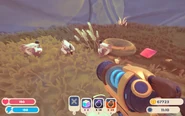 Stony Hen | Slime Rancher Wiki | Fandom