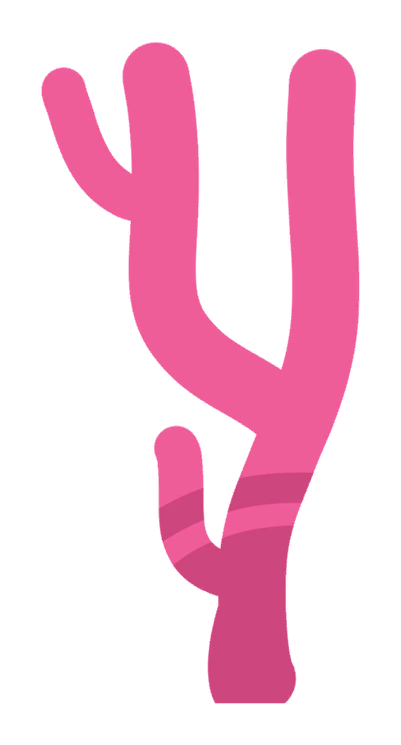 Pink Reef Tree | Slime Rancher Wiki | Fandom