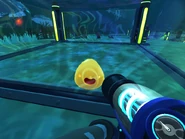 Quantum Slime/Gallery | Slime Rancher Wiki | Fandom