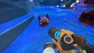 Hunter Slime (Slime Rancher 2) | Slime Rancher Wiki | Fandom