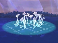 Ochre Poppies | Slime Rancher Wiki | Fandom