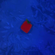 Cuberry (Slime Rancher 2) | Slime Rancher Wiki | Fandom