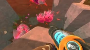 Feral Slimes (Slime Rancher)/Gallery | Slime Rancher Wiki | Fandom