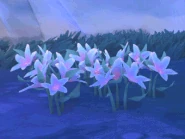 Starbloom Flowers | Slime Rancher Wiki | Fandom