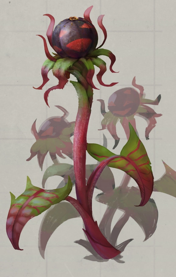 Amarum | Slinneteria Wikia | Fandom