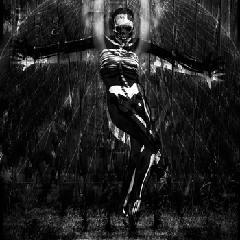 .5: The Gray Chapter | Slipknot Wiki | Fandom