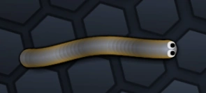 Segment 24 | slither.io Wiki | Fandom