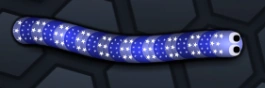 Lavender/Indigo/White Star Skin | slither.io Wiki | Fandom