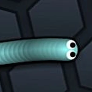 Discuss Everything About slither.io Wiki | Fandom